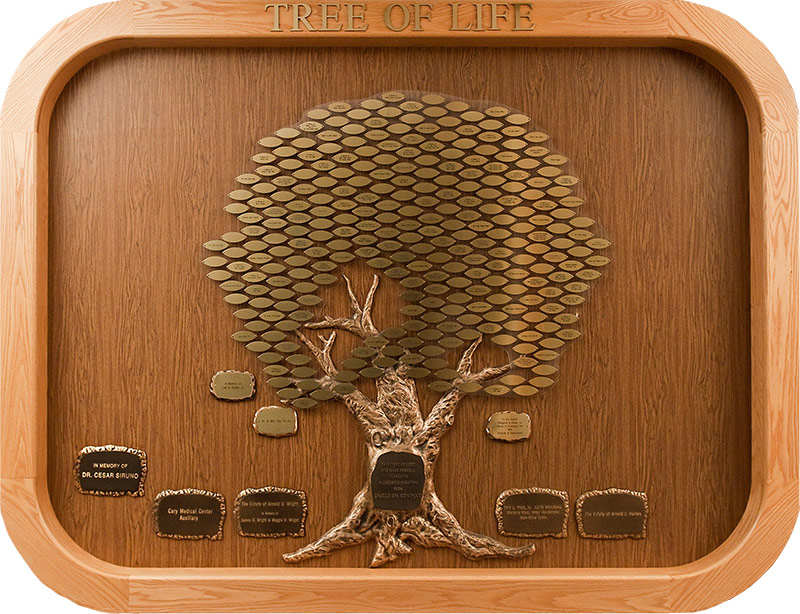 Tree of Life – Cary Medical Center: Caribou, ME